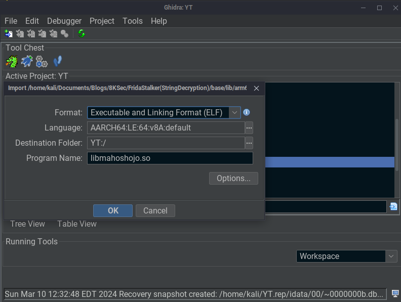 Advanced Frida Usage Part 10 – Instruction Tracing using Frida Stalker