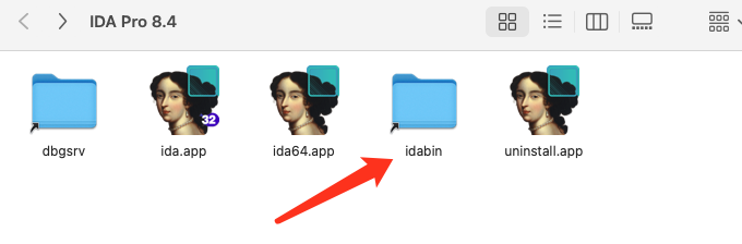IDA Pro + MCP 逆向分析
